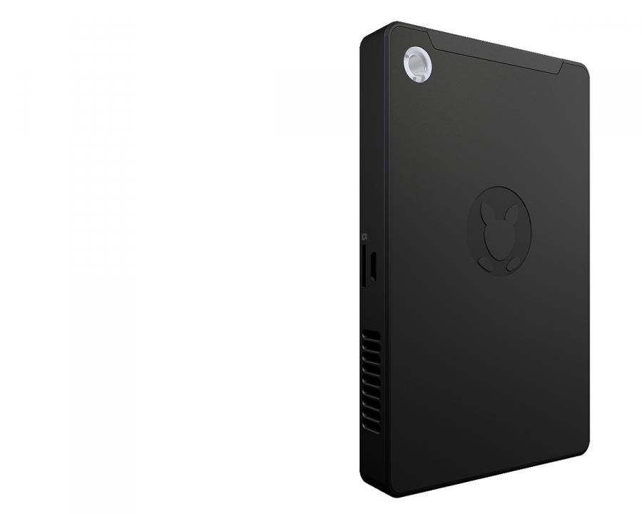 InFocus Kangaroo standing up - TechwareLabs